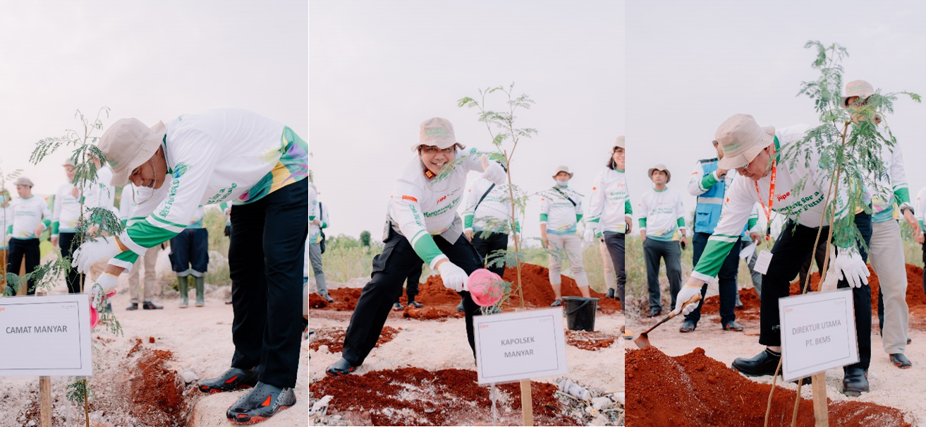 By Planting 1000 Trees, JIIPE Industrial Area Supports The World ...